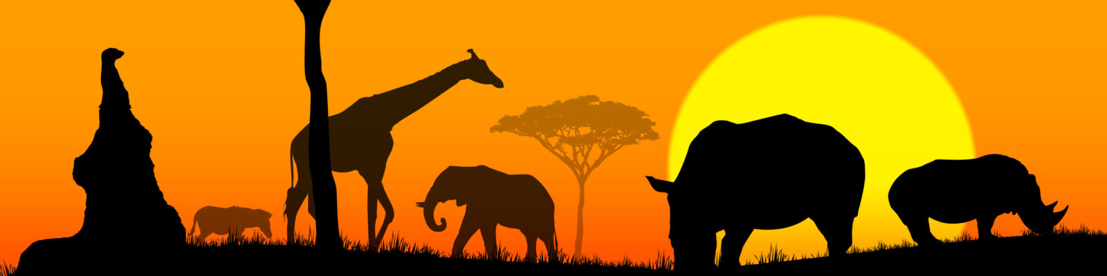 cropped-Africa-2.jpg – Pragmafrica